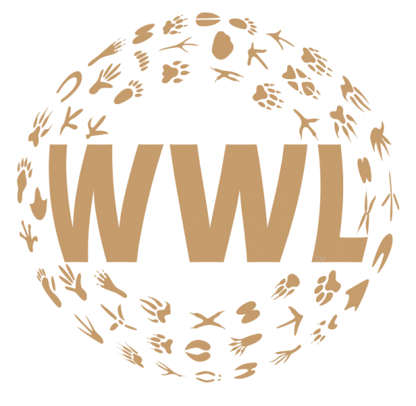 WWL Story - Where is the Wildlife